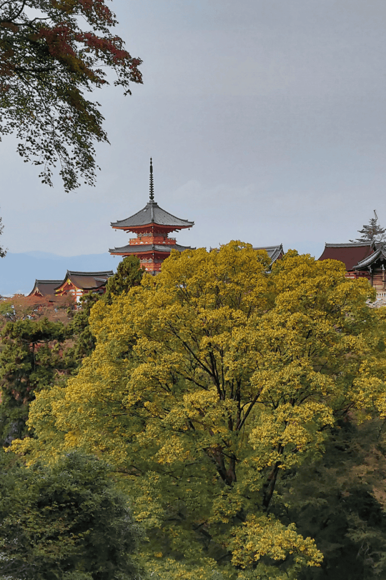 Best Places To Enjoy Autumn in Japan - Rosas Viajeras