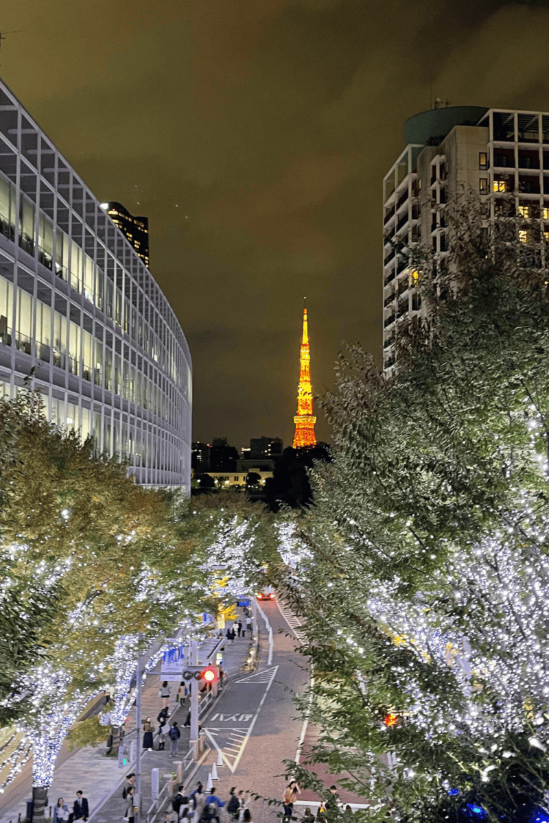 5 Top Places To See The Winter Illuminations in Tokyo Japan - Rosas ...