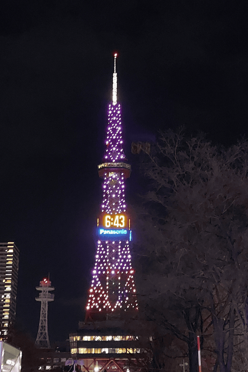 The Beauty of Sapporo's White Illumination - Rosas Viajeras