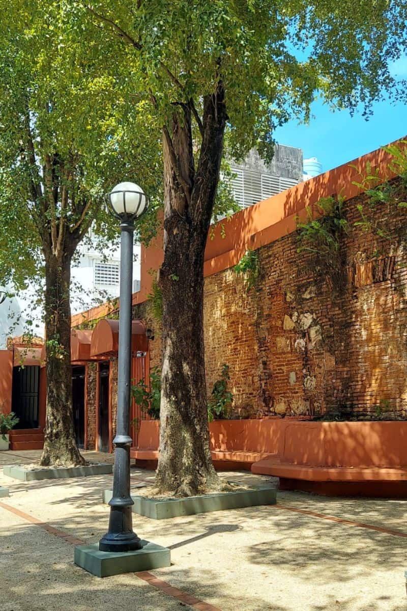 15 Things To Do In Bayamón Puerto Rico That Are Worth Exploring - Rosas ...