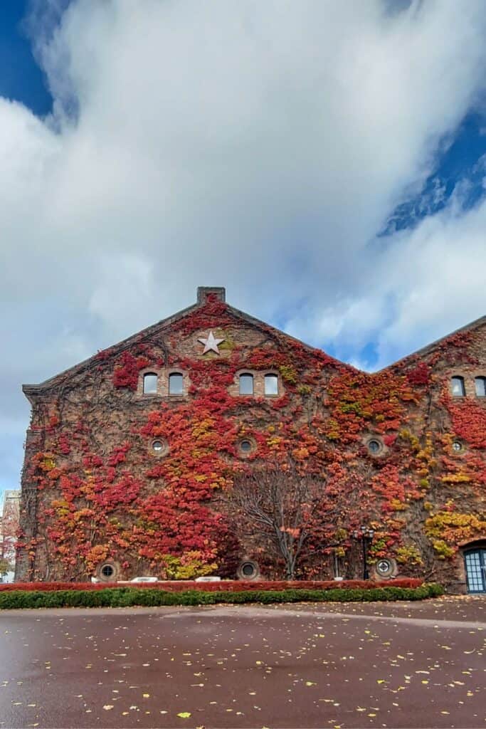 Sapporo In Autumn: What To Do, Where To Go, And Why You'll Love It ...